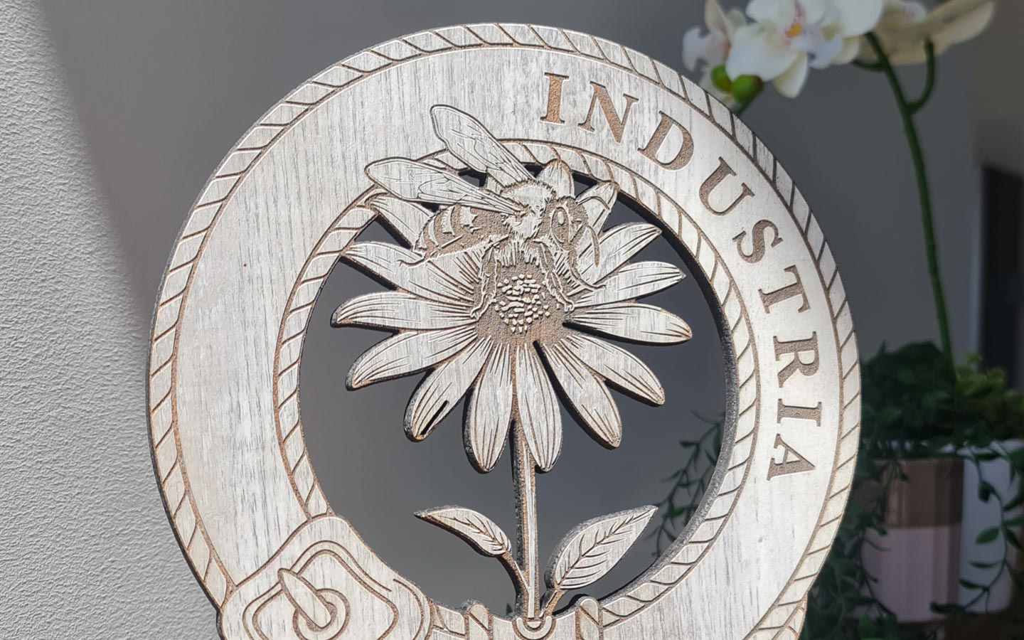 Bell Family History & Ancestry - Scottish Family Crests & History